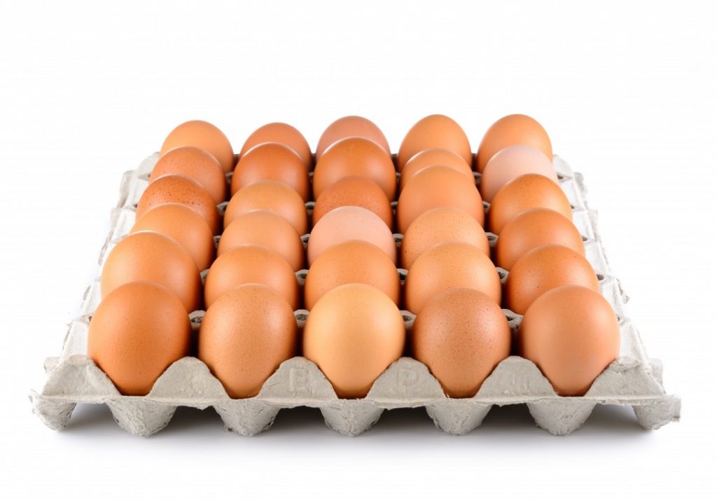 Eggs Kirbys Store eggs-kirbys-store