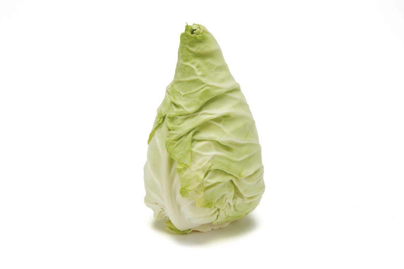 Pointed Cabbage - Kirbys Store