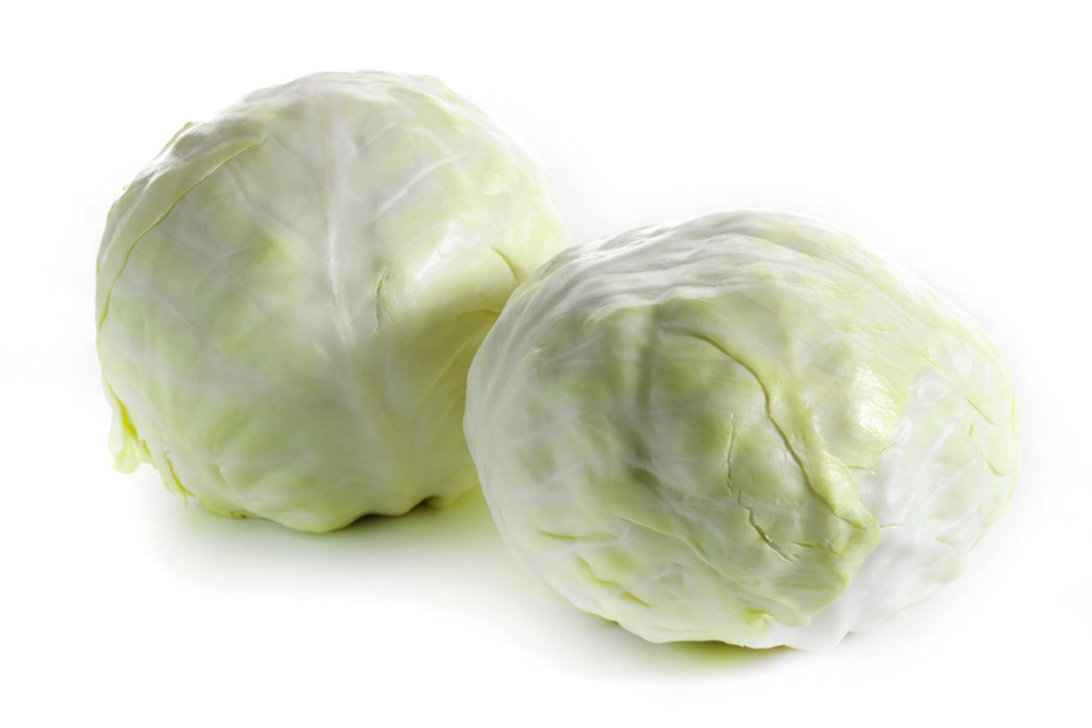Small White Cabbage – Kirbys Store