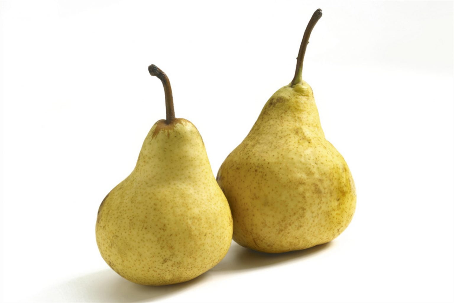 Conference Pear – Kirbys Store